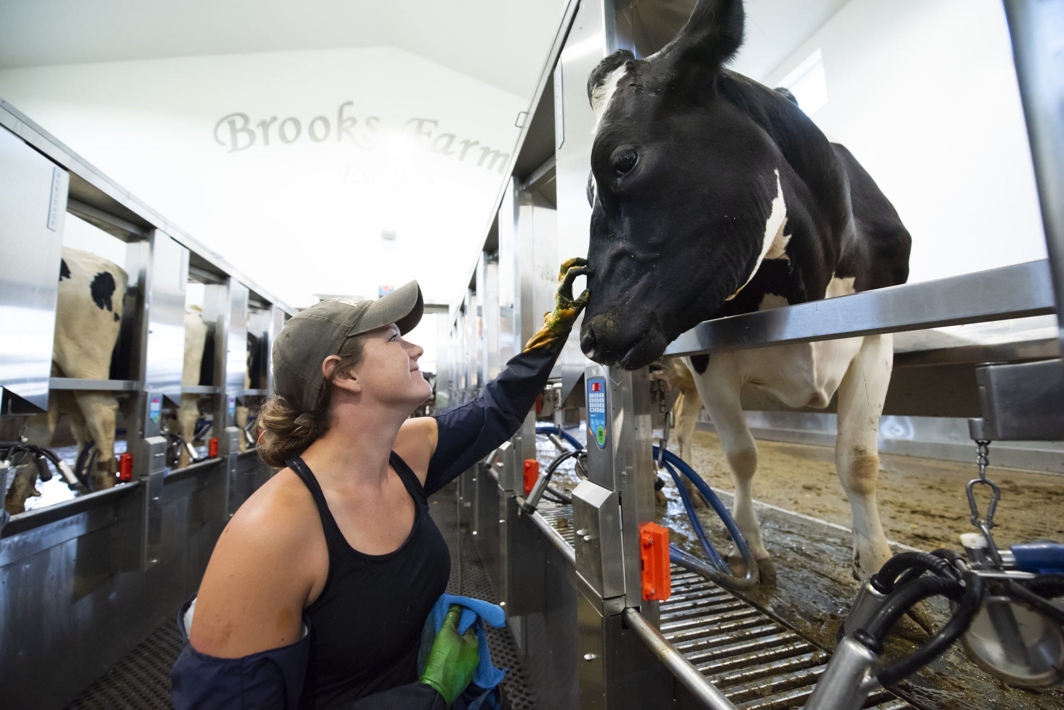 About Us – Black & White by Brooks Farms